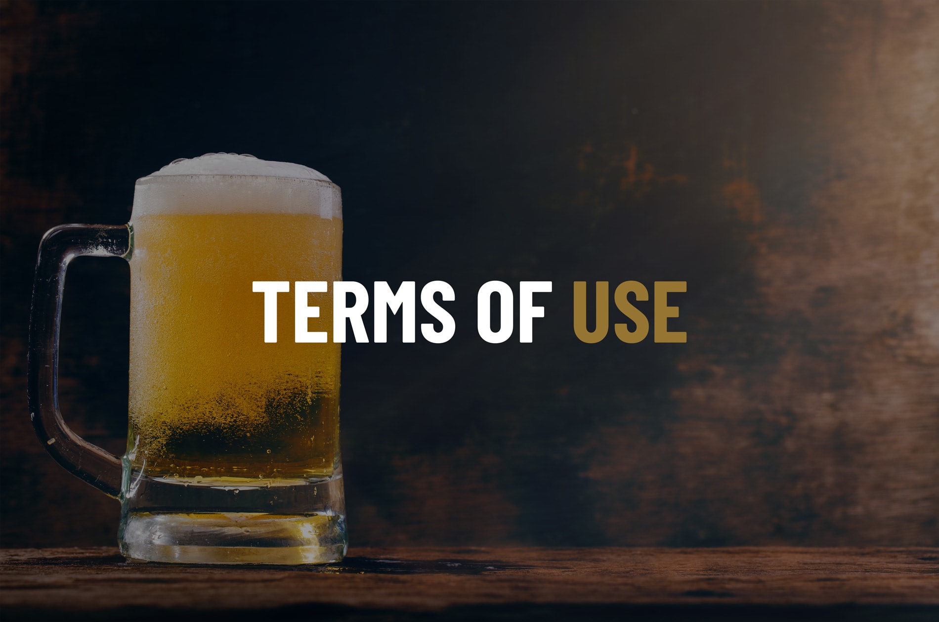 Terms of use | AEB Group